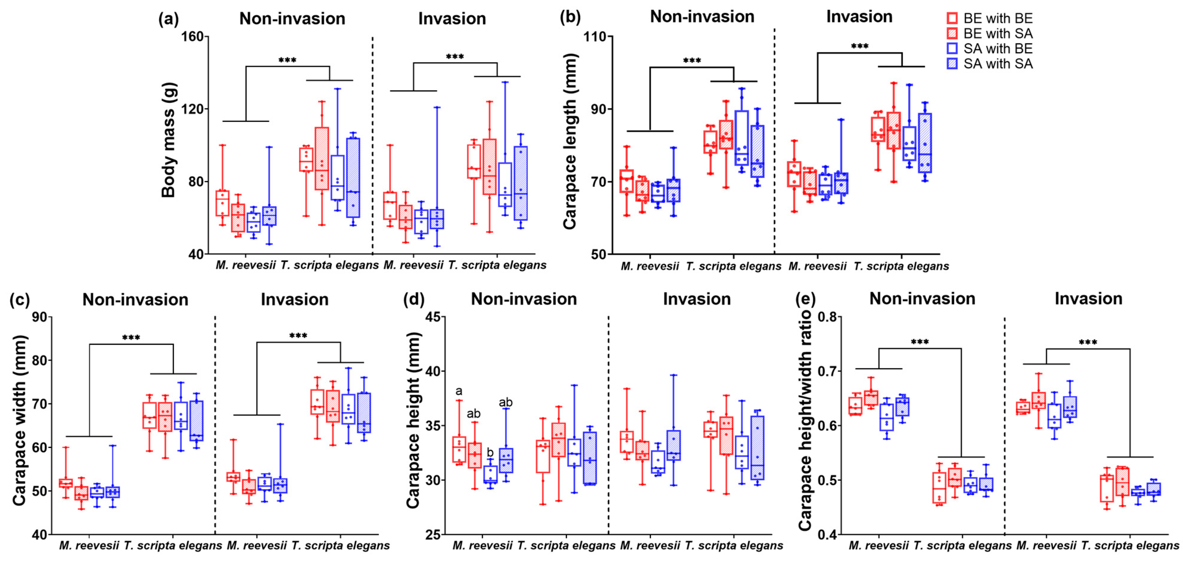 Impact of Personality Trait Interactions on Foraging and Growth in ...