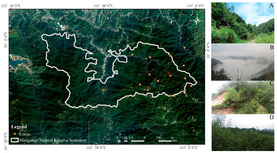 Behavior and Activity Patterns of the Critically Endangered Mangshan ...