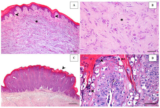 Characterization of Bovine Papillomavirus Types Detected in Cattle ...