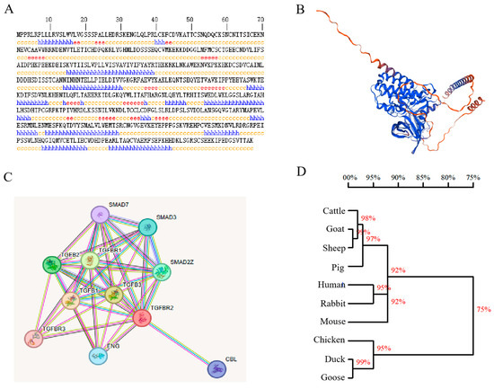 Animals | Free Full-Text | MiR-20a-5p Targeting the TGFBR2 Gene ...
