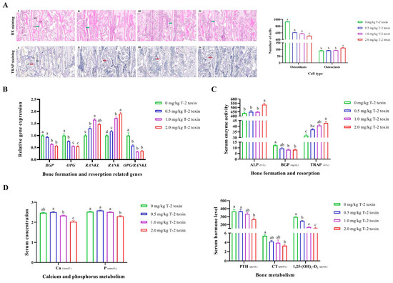 Tibial Damage Caused by T-2 Toxin in Goslings: Bone Dysplasia, Poor ...