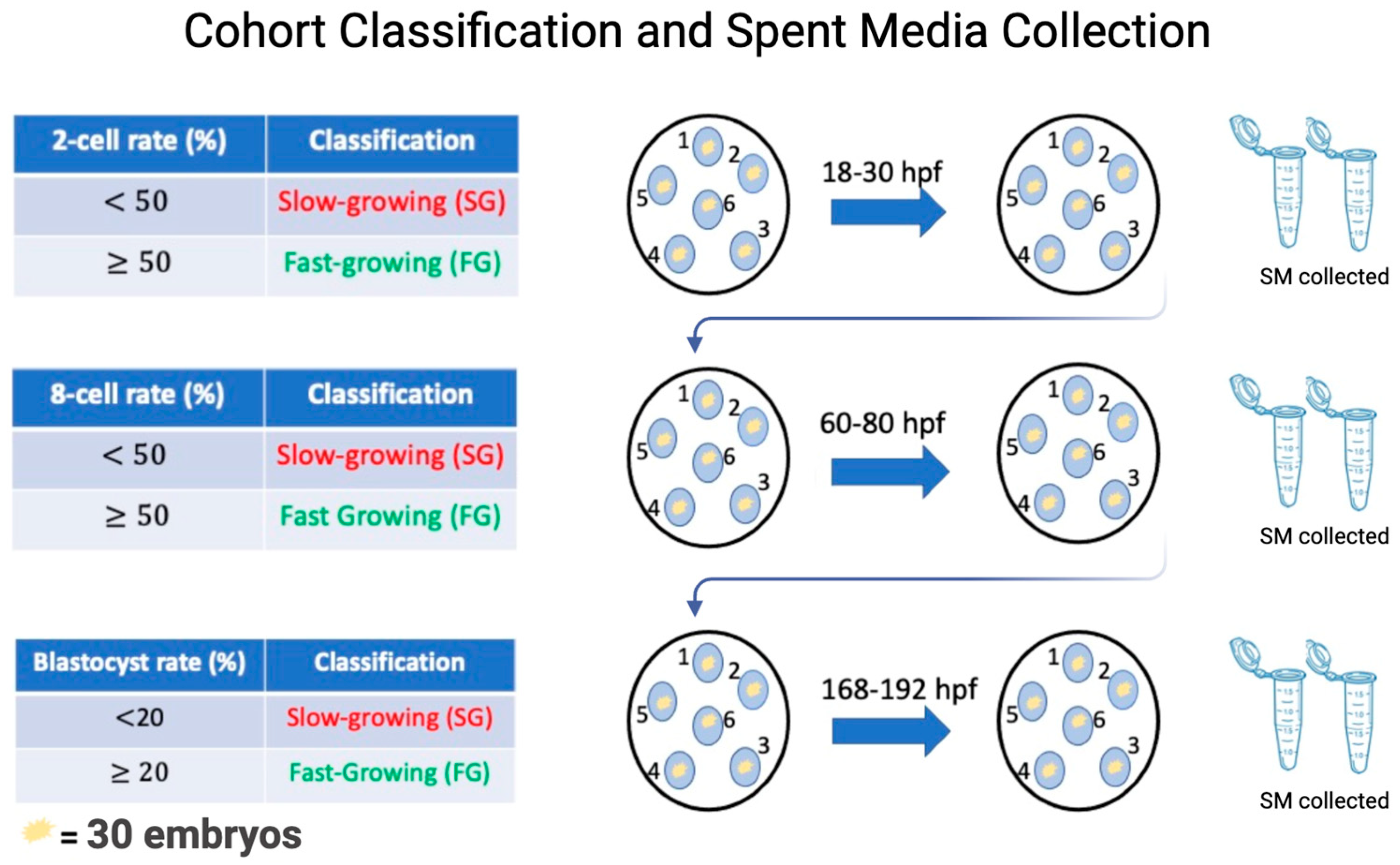 MicroRNAomic Analysis of Spent Media from Slow- and Fast-Growing Bovine ...