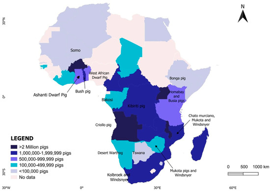African Local Pig Genetic Resources in the Context of Climate Change ...