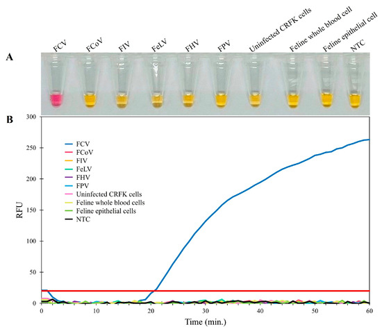 Comparison of PCR, Nested PCR, and RT-LAMP for Rapid Detection of ...