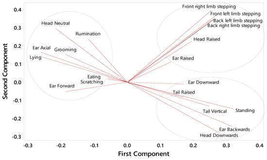 Behavioural Responses of Beef Cattle to Hot Conditions
