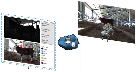 Automated Measurement of Cattle Dimensions Using Improved Keypoint Detection Combined with ...