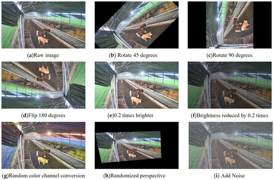 A New Method for Non-Destructive Identification and Tracking of Multi ...