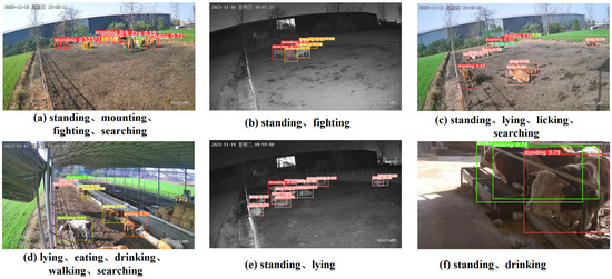 A New Method for Non-Destructive Identification and Tracking of Multi ...