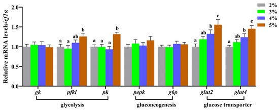 Effects of Feeding Rates on Growth Performance and Liver Glucose ...