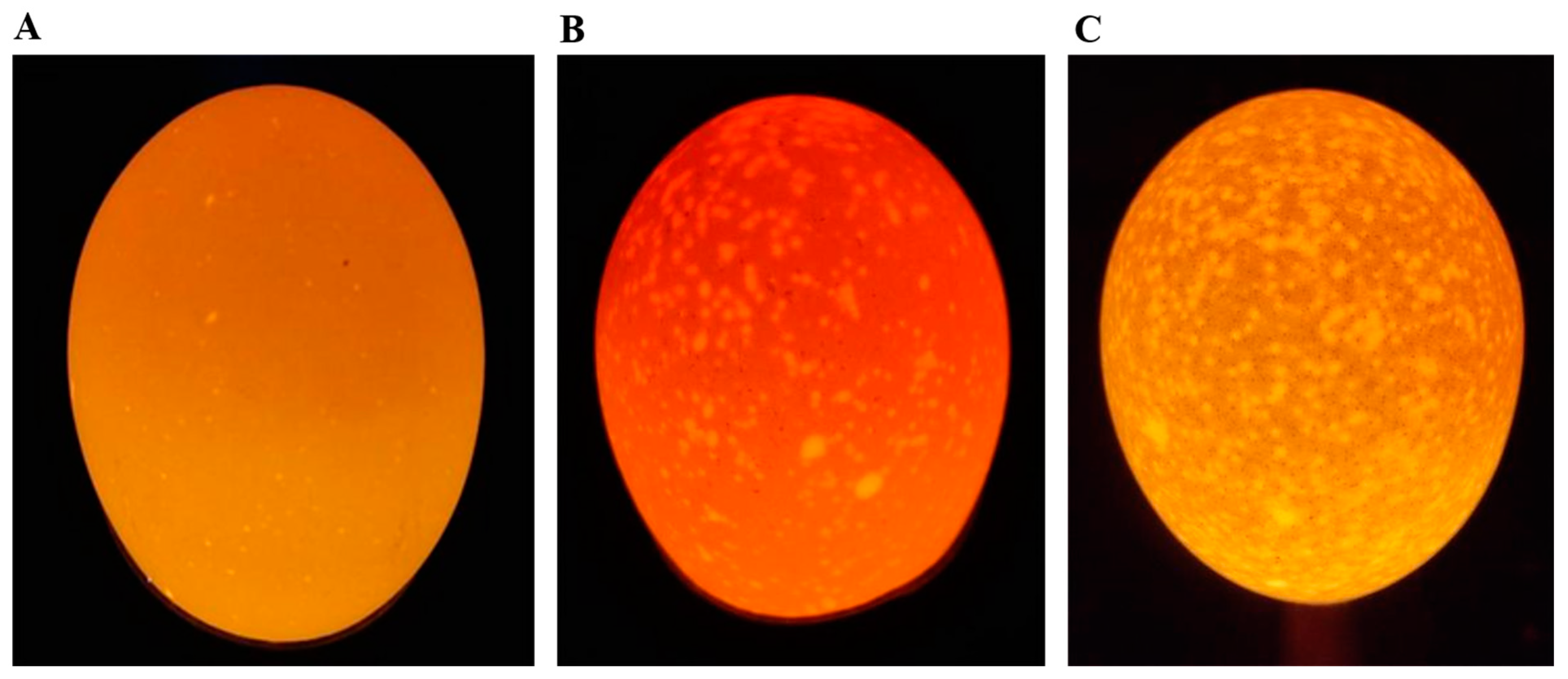 Plasma Biochemistry, Intestinal Health, and Transcriptome Analysis ...