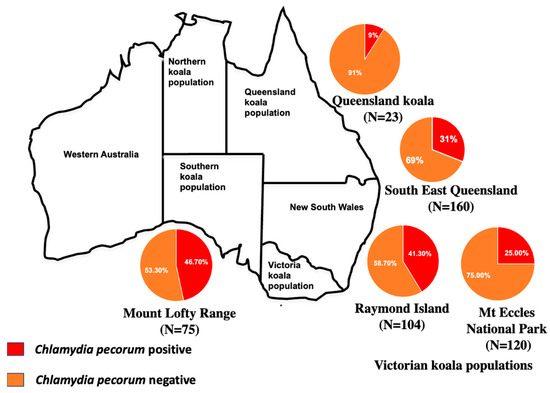 Epidemiology, Transmission Mode, and Pathogenesis of Chlamydia pecorum ...