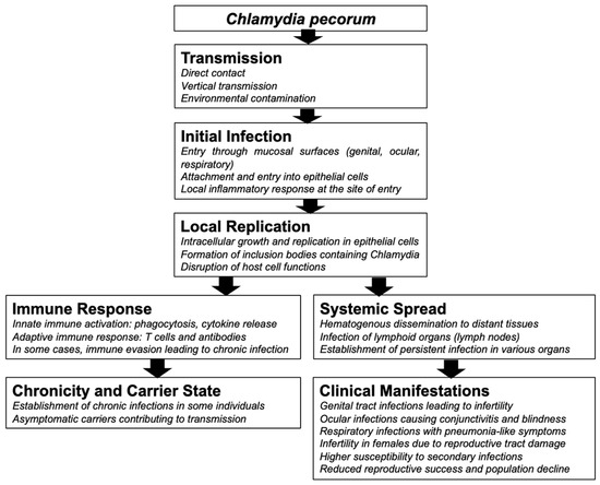 Epidemiology, Transmission Mode, and Pathogenesis of Chlamydia pecorum ...