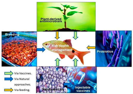 Current Challenges of Vaccination in Fish Health Management