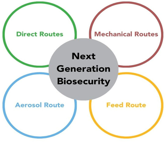 A Review of Swine Breeding Herd Biosecurity in the United States to ...