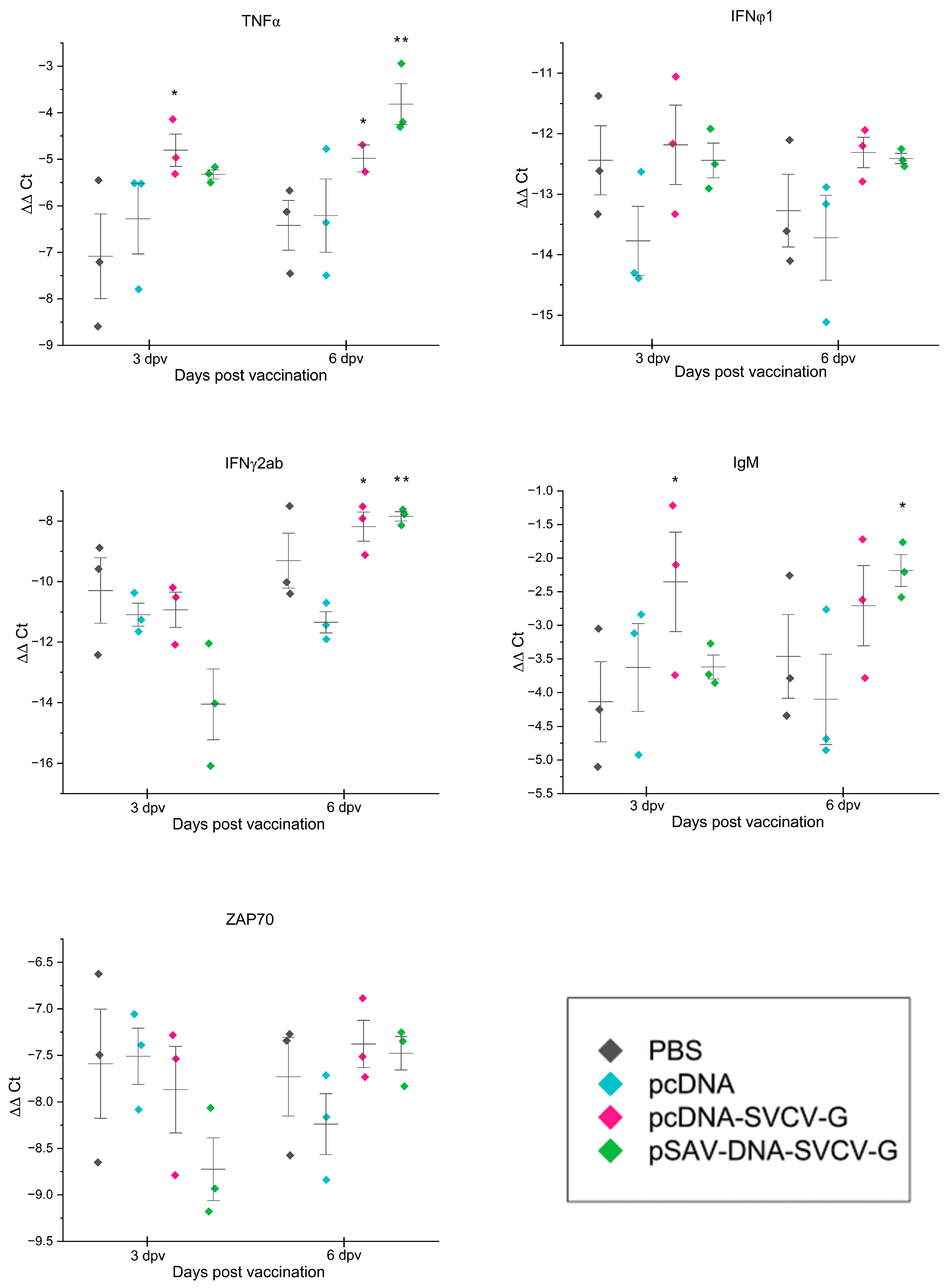First Experimental Application of DNA-Layered Salmonid Alphavirus-Based ...