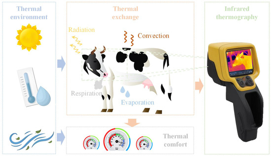 Optimized Machine Learning Models for Predicting Core Body Temperature ...
