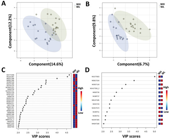 Non-Targeted Metabolomics of Serum Reveals Biomarkers Associated with ...