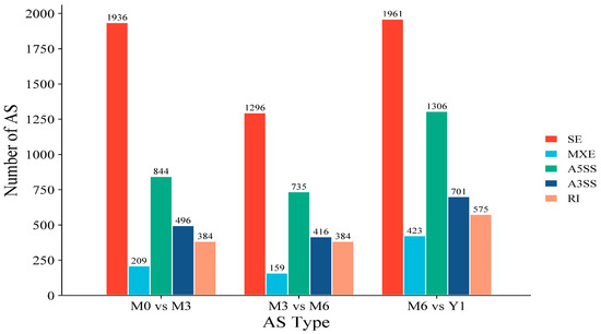 Transcriptomic Study of Different Stages of Development in the Testis ...