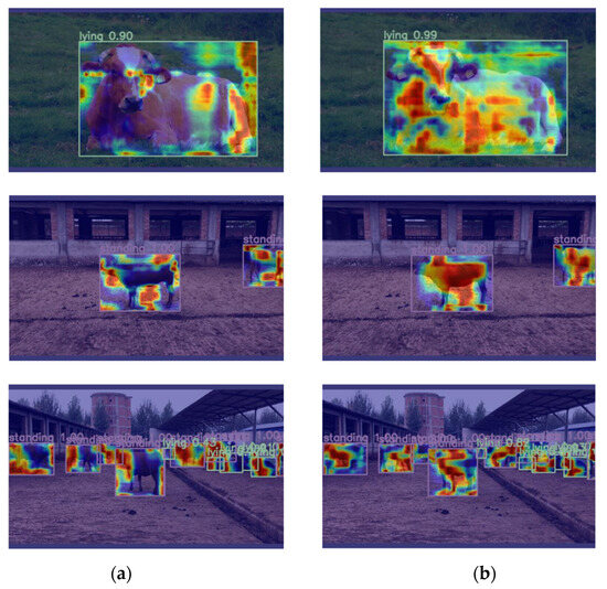Research on the Behavior Recognition of Beef Cattle Based on the ...