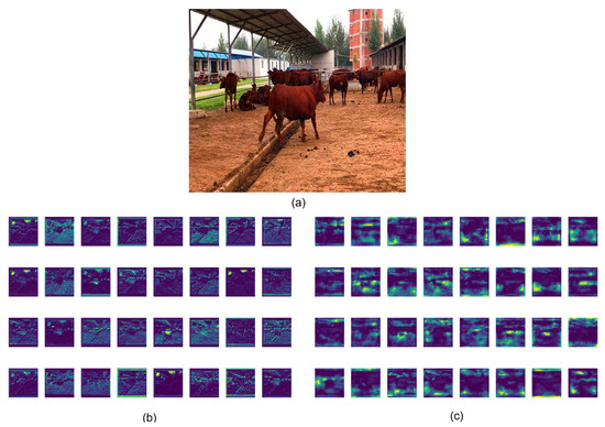 Research on the Behavior Recognition of Beef Cattle Based on the Improved Lightweight CBR-YOLO ...