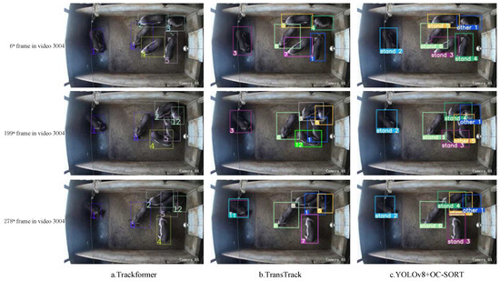 Tracking and Behavior Analysis of Group-Housed Pigs Based on a Multi-Object Tracking Approach