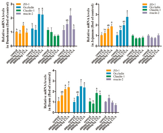 Responses of Intestinal Antioxidant Capacity, Morphology, Barrier ...