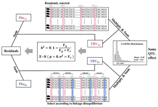 Comparative Study of Single-Trait and Multi-Trait Genomic Prediction Models