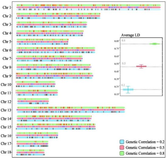 Comparative Study of Single-Trait and Multi-Trait Genomic Prediction Models