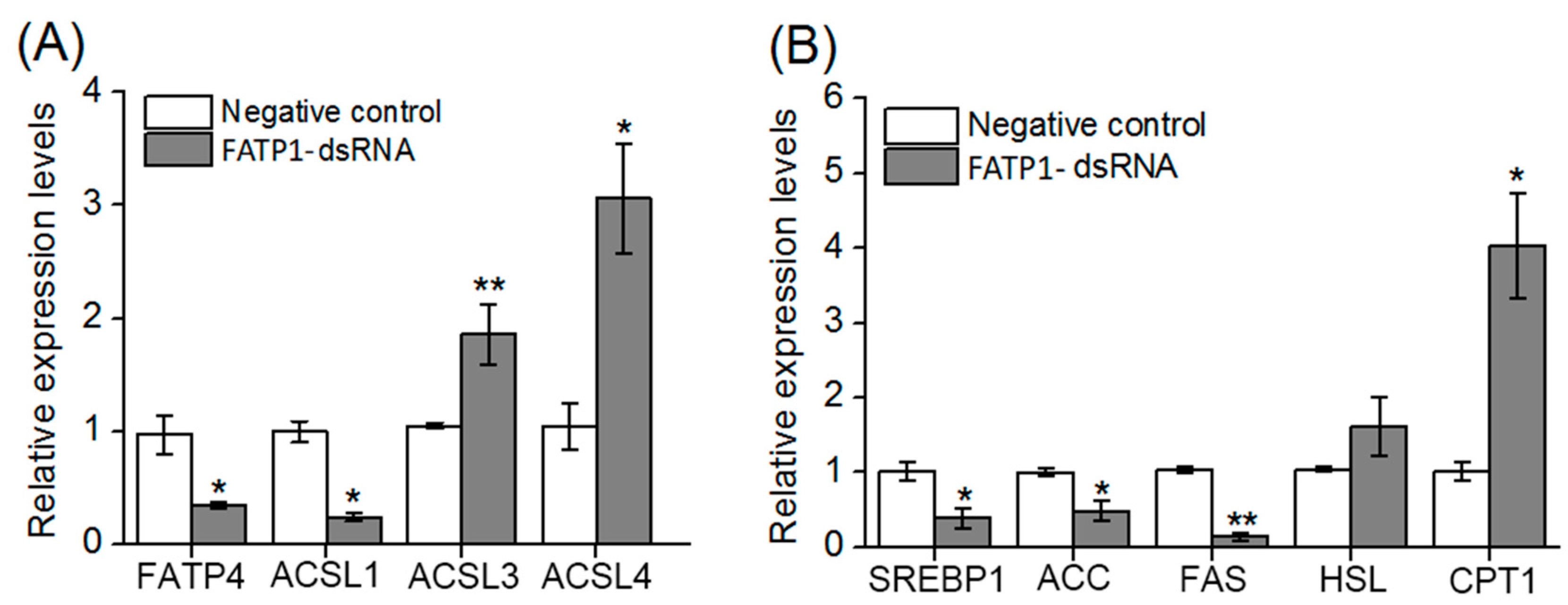 Identification and Functional Characterization of the FATP1 Gene from ...