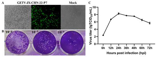Novel Porcine Getah Virus from Diarrheal Piglets in Jiangxi Province ...