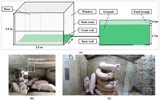 An Automatic Movement Monitoring Method for Group-Housed Pigs