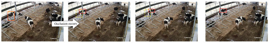 Research on Cattle Behavior Recognition and Multi-Object Tracking Algorithm Based on YOLO-BoT