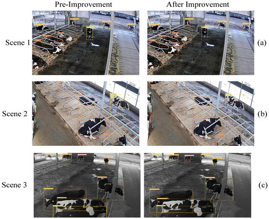 Research on Cattle Behavior Recognition and Multi-Object Tracking Algorithm Based on YOLO-BoT