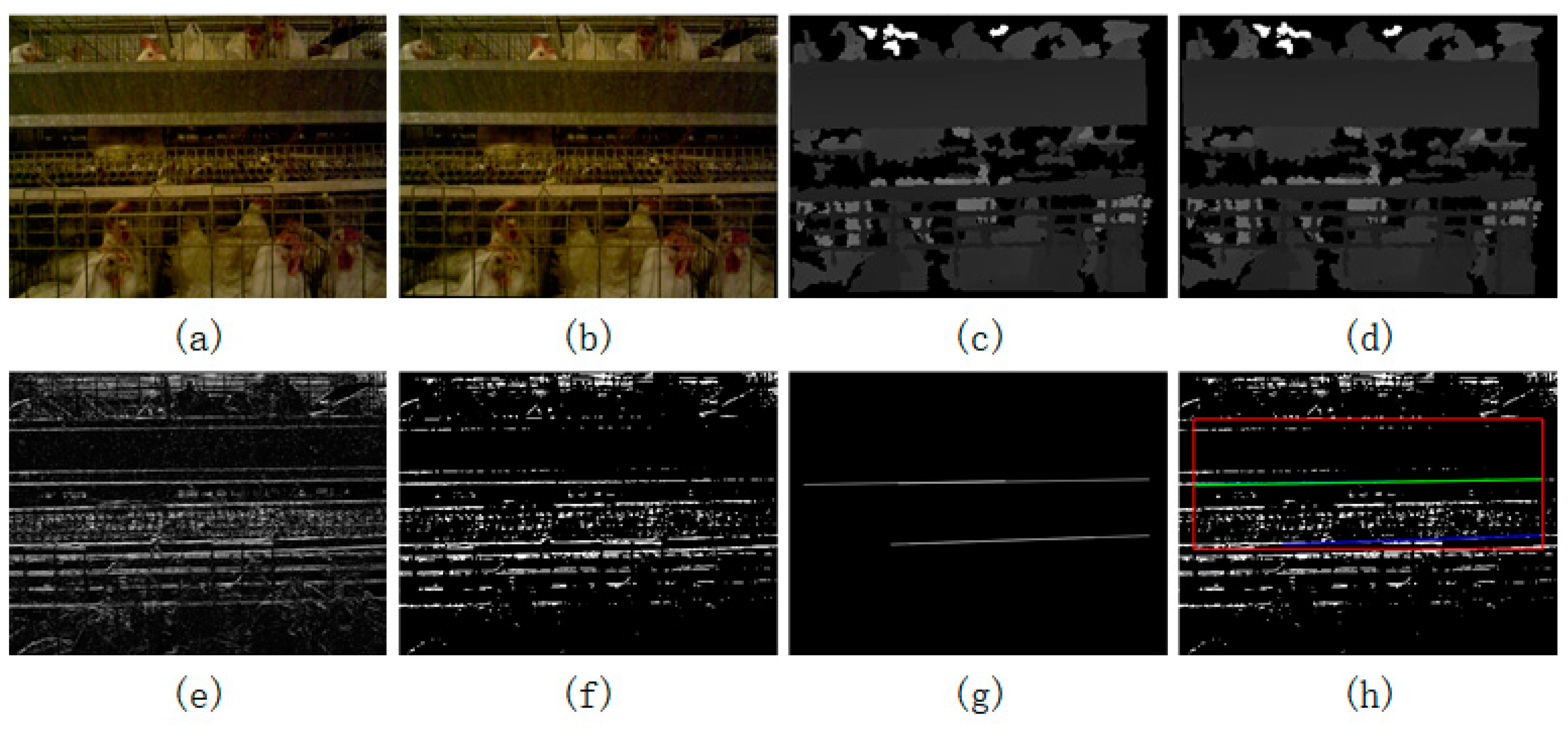 The Posture Detection Method of Caged Chickens Based on Computer Vision