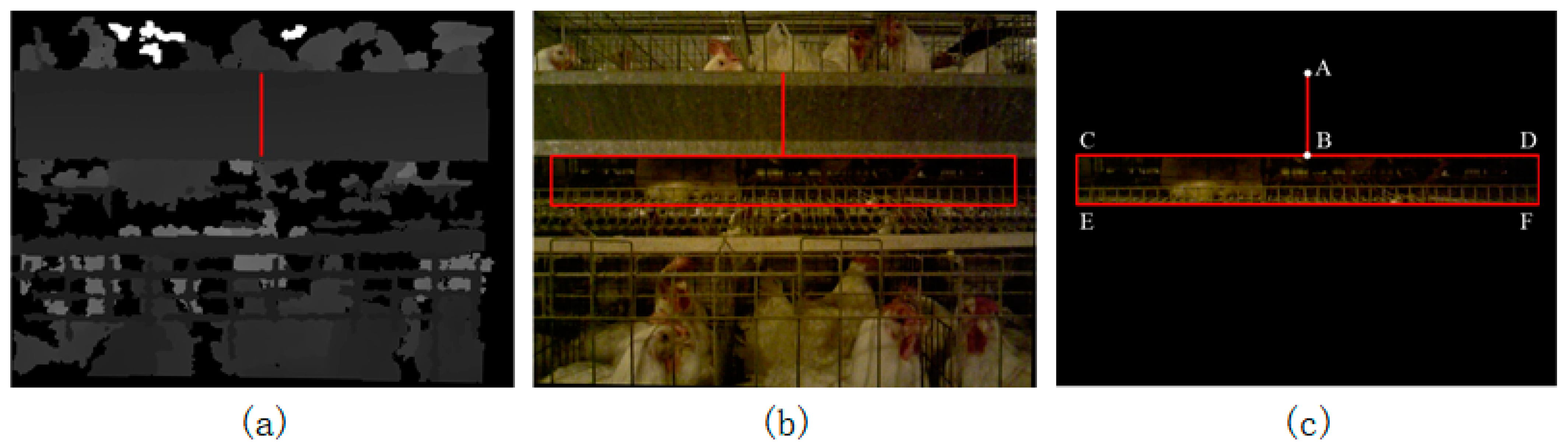 The Posture Detection Method of Caged Chickens Based on Computer Vision