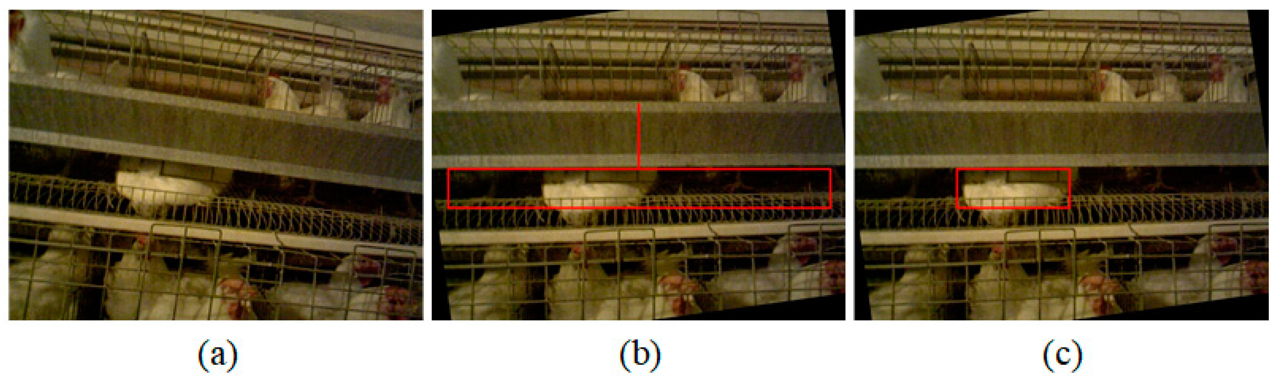 The Posture Detection Method of Caged Chickens Based on Computer Vision