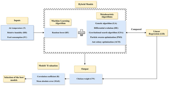 Estimating Ross 308 Broiler Chicken Weight Through Integration of ...