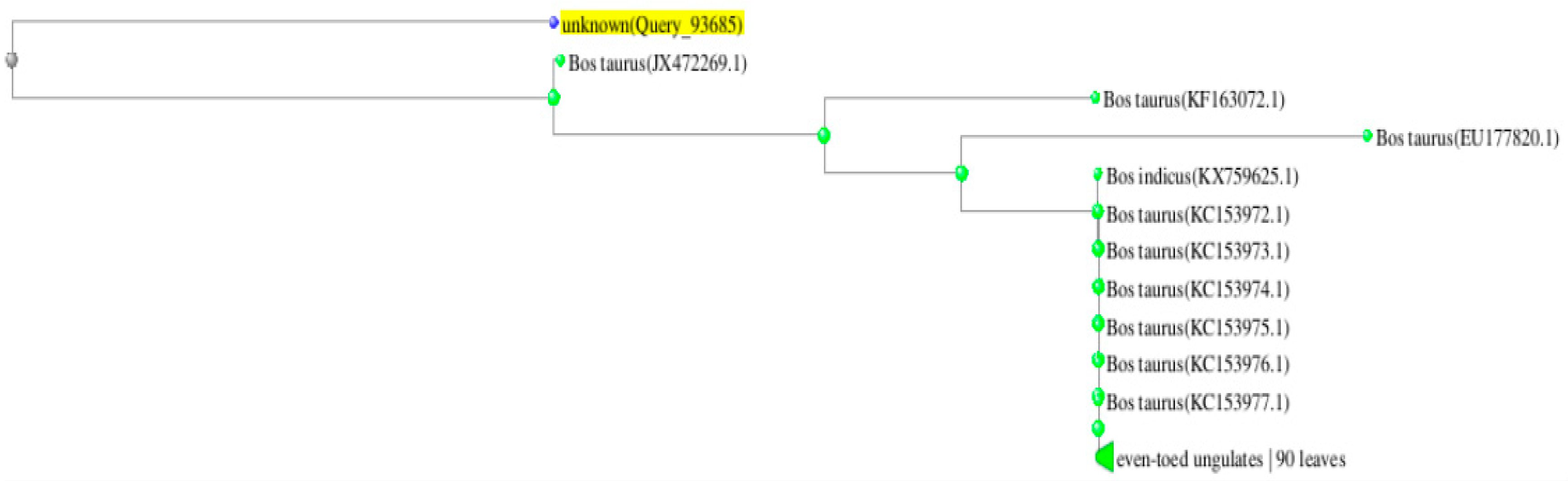 Comparison of Universal mtDNA Primers in Species Identification of ...
