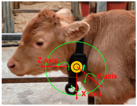 Monitoring Multiple Behaviors in Beef Calves Raised in Cow–Calf Contact ...