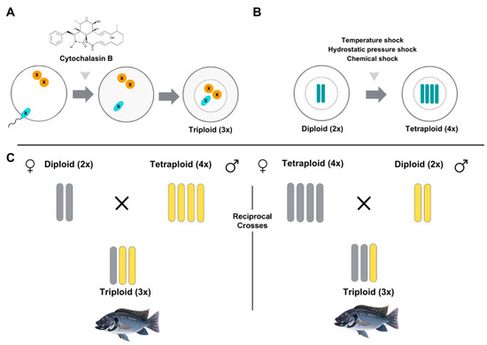 Sustainable Ecosystem Management Strategies for Tackling the Invasion ...