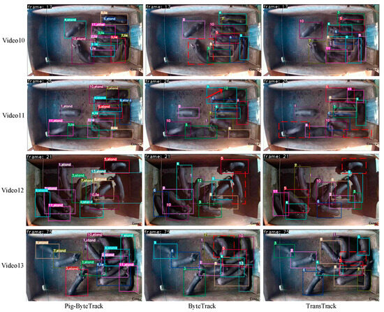 Behavior Tracking and Analyses of Group-Housed Pigs Based on Improved ByteTrack