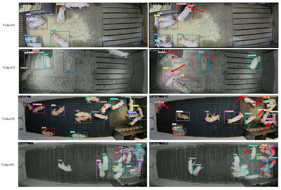 Behavior Tracking and Analyses of Group-Housed Pigs Based on Improved ...