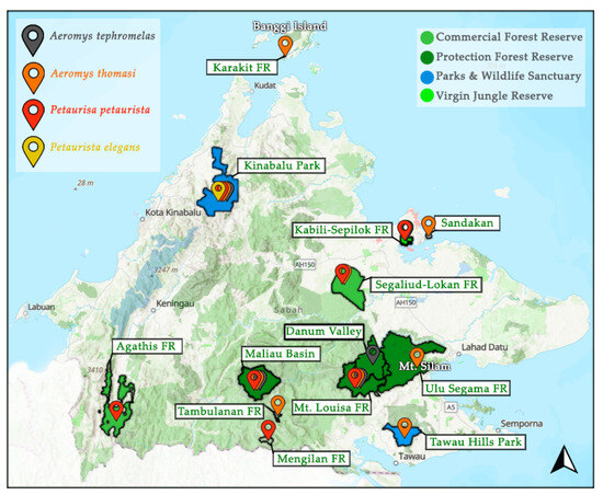 Effective Survey Methods for the Elusive Data Deficient Black Flying ...