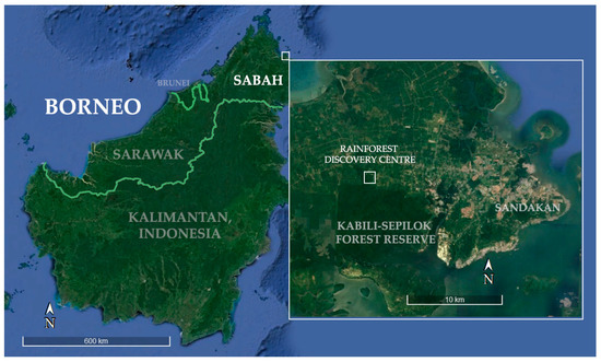 Effective Survey Methods for the Elusive Data Deficient Black Flying ...