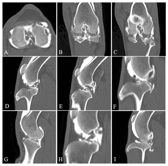 Optimal Computed Tomographic Arthrography Protocol for Stifle ...