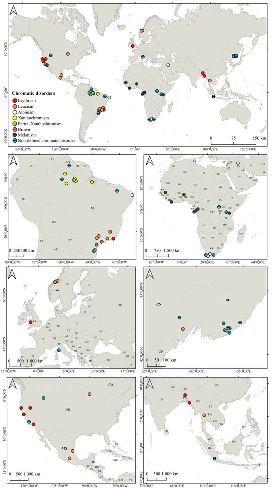 Unveiling the Colors of Mustelids: A Historical Review on the Emergence ...