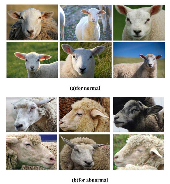 SMEA-YOLOv8n: A Sheep Facial Expression Recognition Method Based on an Improved YOLOv8n Model