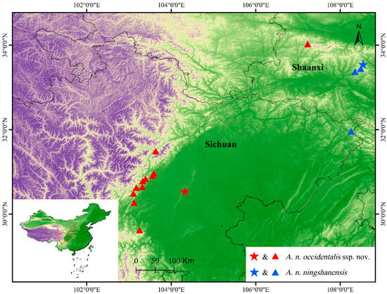 Taxonomic Revision of Ningshan Odd-Scaled Snake, Achalinus ...
