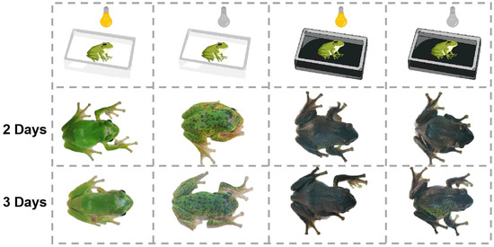 Cellular and Molecular Basis of Environment-Induced Color Change in a ...
