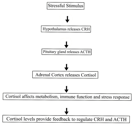Behavioral, Physiological, and Pathological Approaches of Cortisol in Dogs